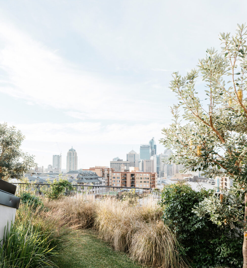 A city to feel at home in - SJB