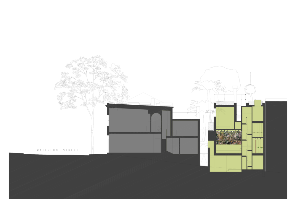 19 Waterloo Street - SJB